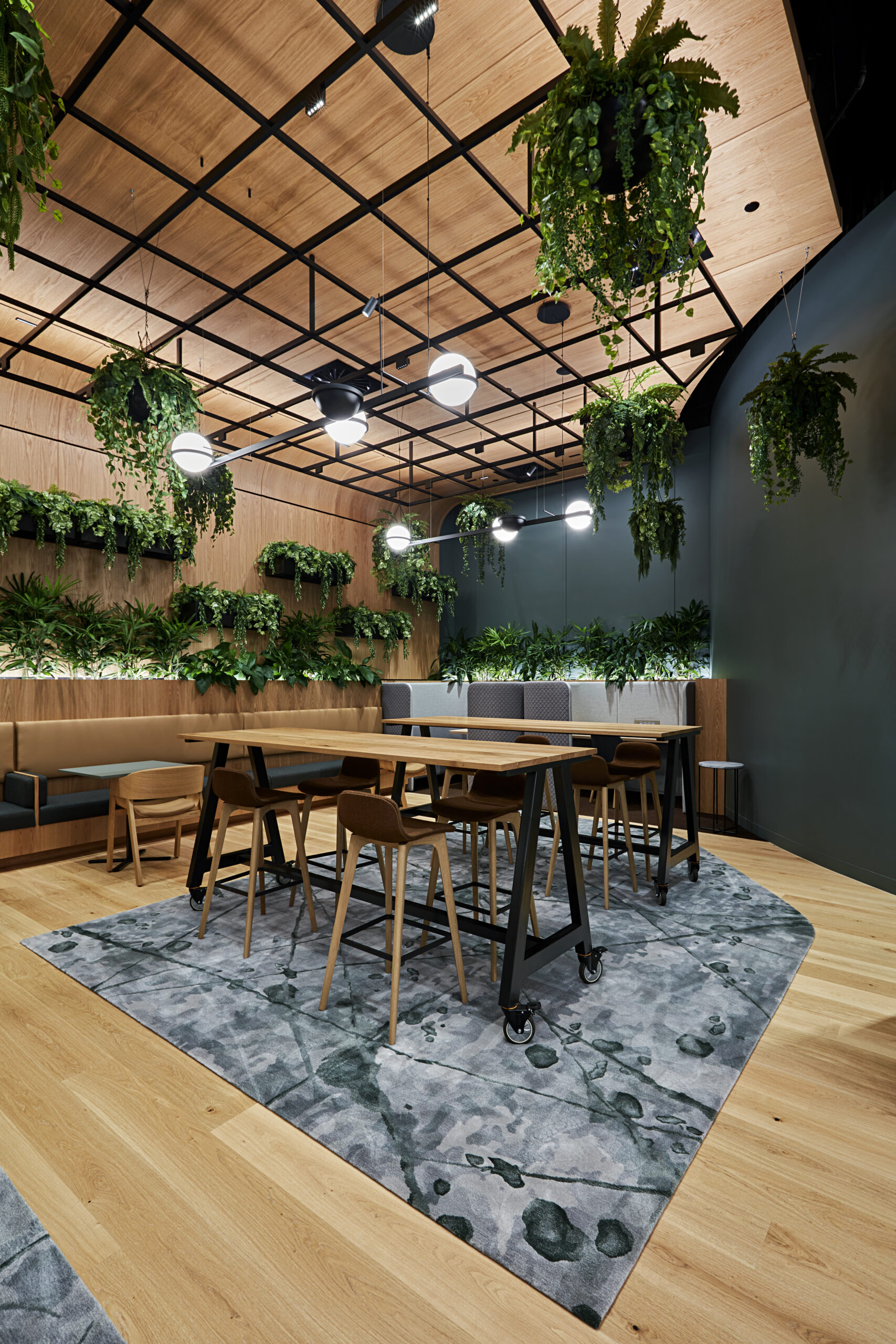 Kamirice Flagship – UPco